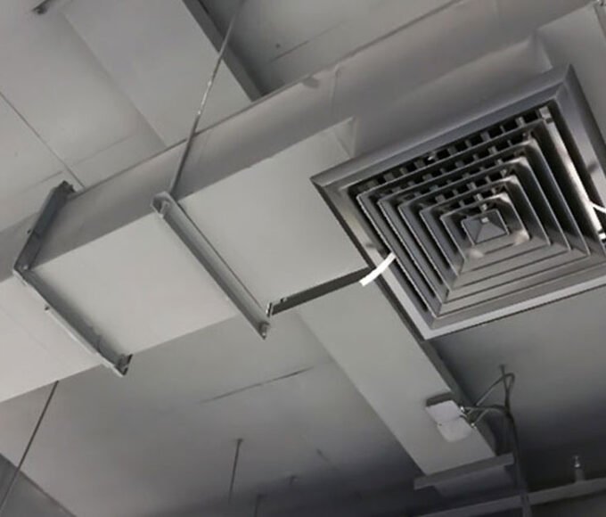 Sustainable Plant Care: Tips for Eco-Friendly Home Gardening - DebraBernier