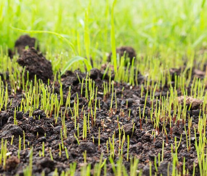 Bedroom Wall Paint Finishes: Types of Paint - DebraBernier